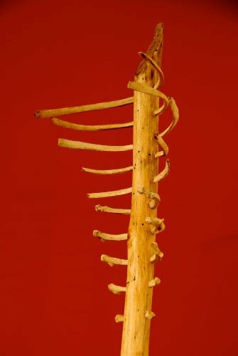 We Love Art Mark Eisendrath We Love Dc