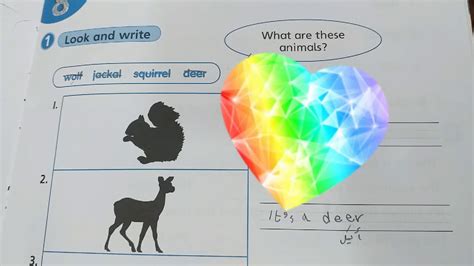 الوحدة الثامنة انجليزي الصف الرابع كتاب التمارين Youtube