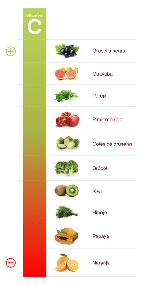 Vitamina C Qué Es Funciones Y Beneficios Acofarma