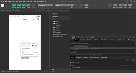 Install Wechat Web Devtools On Linux Snap Store