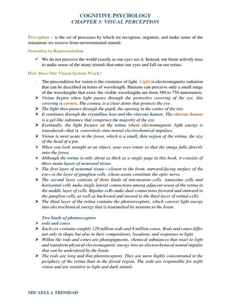 Chapter 3 Visual Perception Cognitive Psychology Pdf Perception