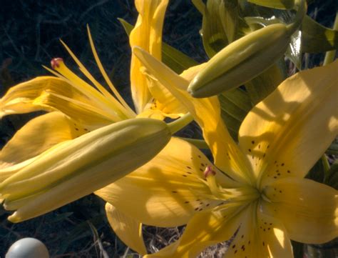 Qualitative Evaluation Of The Approach Top Two Rows Minimising The Download Scientific