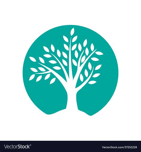 Tree Icon Design Template Royalty Free Vector Image