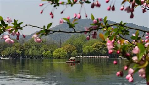 清明节旅游景点推荐 杭州西湖赏花攻略 低音号免费语音导游 知乎