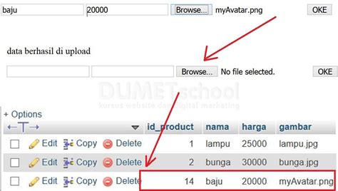 Cara Upload Gambar Menggunakan Codeigniter Dan Mysql Part 2 Kursus