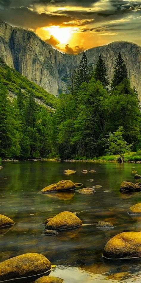Nature Wallpaper Hd For Mobile  At Pamela Allis Blog