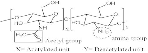 Figure A Structure Of Chitosan Download Scientific Diagram