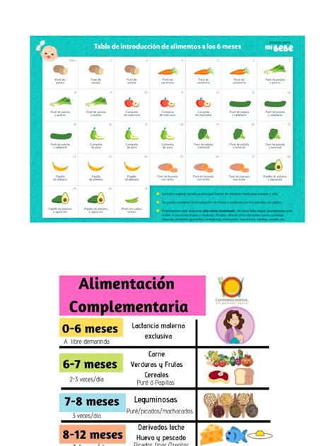 Alimentacion Complementaria Pdf