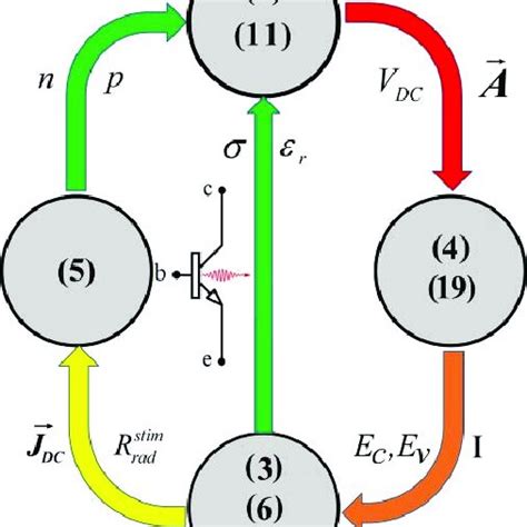 Computational Coupling Of The Equations Involved In The Proposed
