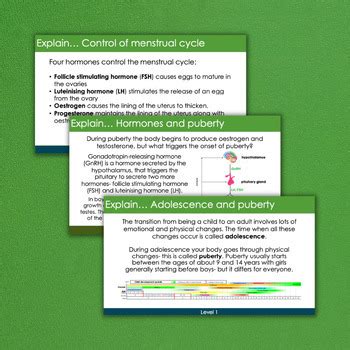 Human Reproduction GCSE By CMGs Science Lessons TpT
