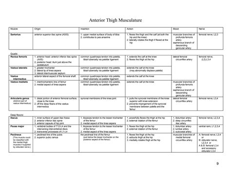 Muscle Attachment Table Compartment Wise Ppt