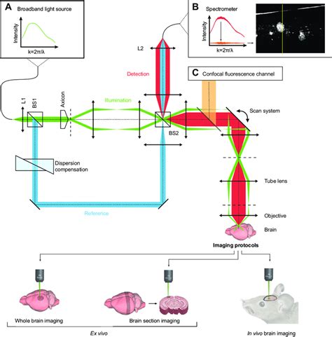 Schematic Illustration Of The Xfocm Instrument With Decoupled