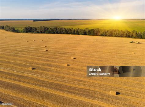 여름에 해질녘 건초 더미의 공중 전망 건초 더미의 평면도 농업 건초 롤로 수확 후 밭 농지 짚 초원이 있는 풍경 거리에 대한