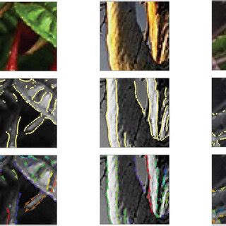 Examples Of Occlusion In Natural Scenes Download Scientific Diagram