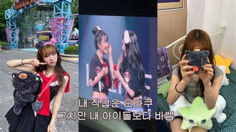 바쁘다 바빠💦 덕질로 꽉 채운 6월 브이로그ㅣ레드벨벳 아이린슬기 콘서트 위시돌 언박싱 리쿠 생카 돌기 에버랜드 가서 에버