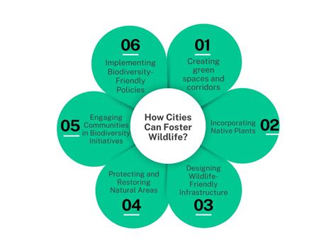 Urban Biodiversity How Cities Can Foster Wildlife Sigma Earth