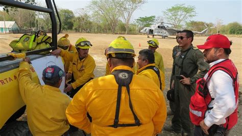 Disminuye 46 La Superficie Afectada Por Incendios Forestales