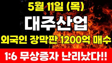 1 대주산업 16 무상증자 터졌다 내일 오후 3시까지 당장 매수하라 아침 시초가 부터 10연상 터진다대주산업 대주산업주가 Youtube