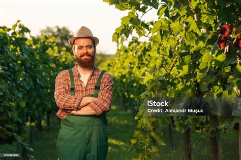 카메라를 바라보는 정면 모습 젊은 와인 메이커 남자 농부 모자가 팔 포도밭을 넘어 기분 좋게 미소 지었다 남성에 대한 스톡 사진 및 기타 이미지 Istock