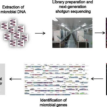 Example Of A Quantitative Metagenomics Pipeline A Metagenomics