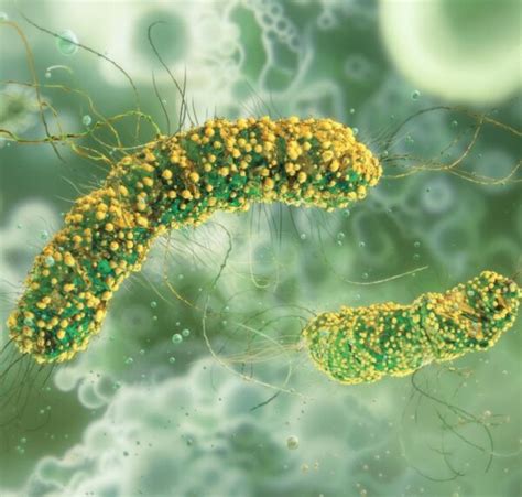 The Essential Guide To Microbiology Testing Methods Applications And Best Practices