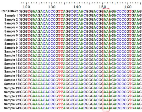 Multiple Sequence Alignment Of 23s Rrna Sequence Of M Pneumoniae From