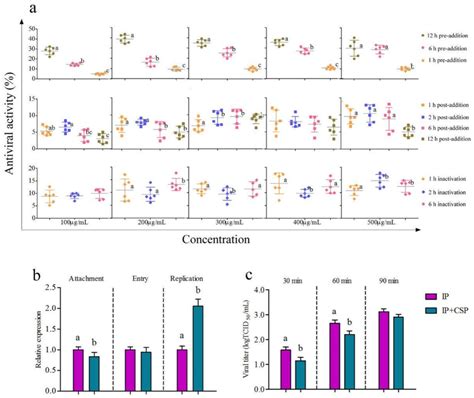 The Antiviral Activity And Actions Of CSP On IPNV A The Antiviral Download Scientific