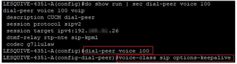 Configure Options Ping Between Cucm And Cube Cisco