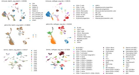 Bidirectional Mamba For Single Cell Data Efficient Context Learning With Biological Fidelity