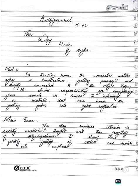 Assignment Critical Thinking Pdf