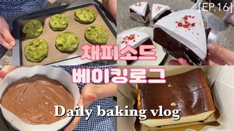 20대 여자 취미 하루에 3가지 디저트 딸기 초코갸또 화이트말차 쿠키 바닐라빈 바스크치즈케이크 Korean Girl Baking Vlog Easy Cake