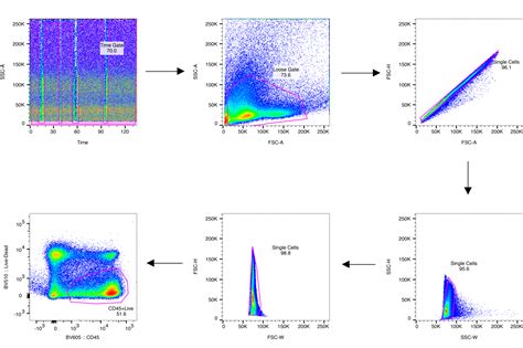 How To Read Flow Cytometry Chart Portal Posgradount Edu Pe