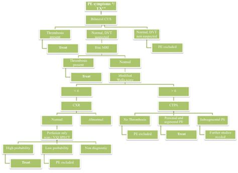 Diagnostic Algorithm For Suspected PE In Pregnancy CTPA Download Scientific