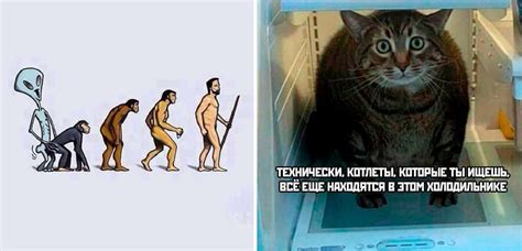 Смешные до слёз картинки40 фото