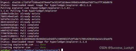 Fabric 超级账本学习【11】hyperledger Fabric 24 实战——基于hyperledger Fabric 24 的