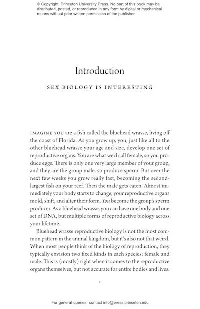 Sex Is A Spectrum Princeton University Press
