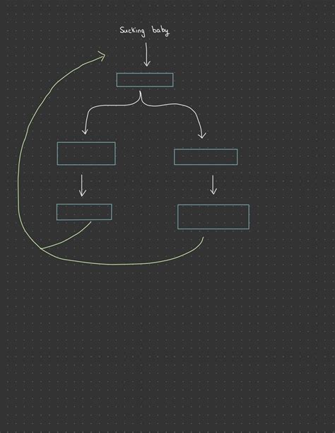 Diagram Of Feedback Loop Prolactinoxytocin Quizlet