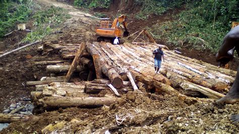 Logging On Heights Banned Solomon Islands Broadcasting Corporation Sibc