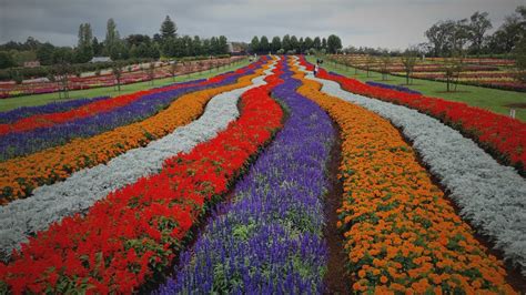 5g Nr Pdcp Reordering Explained