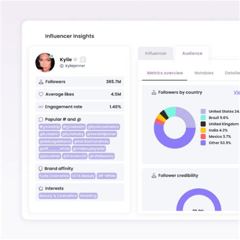 Influencer Analytics Tool Detailed Insights Promoty