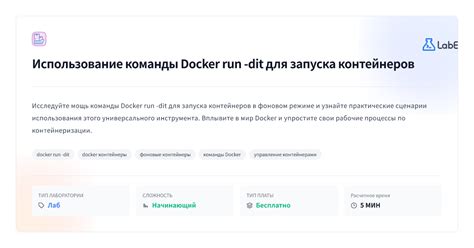 Использование команды Docker Run Dit для запуска контейнеров Labex
