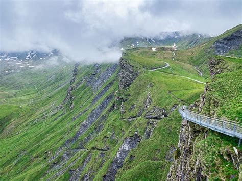 Growing And Pruning Ensembles In Python