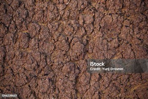 가뭄에 의해 건조 된 땅의 질감 땅은 그런지로 배경을 균열 검은 토양 텍스처 배경 어두운 지면 의 상단 보기 먼지와 돌의 매크로 보기를 닫습니다 텍스트 공간입니다 0명에