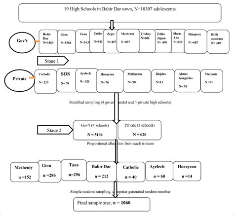 Sampling Procedure Of High Babe Adolescent Babes In Bahir Dar Town Download Scientific