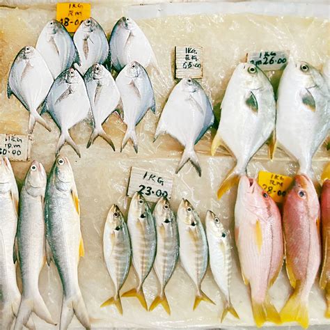 How To Think Like A Bayesian Psyche Guides