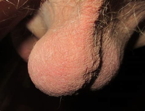 My Balls And Hangers Stefan50