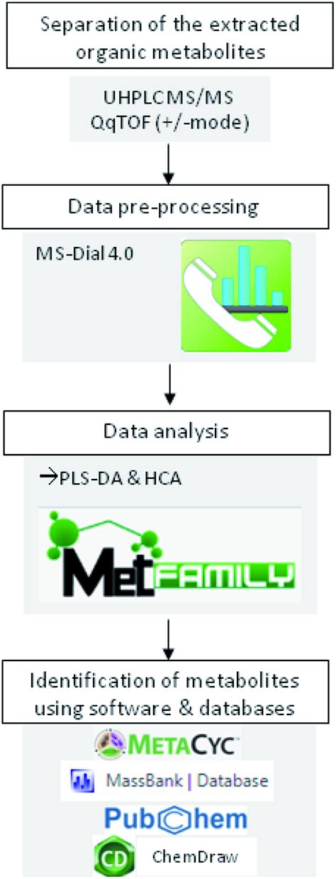 Workflow Of Metabolomics Data Analysis Download Scientific Diagram