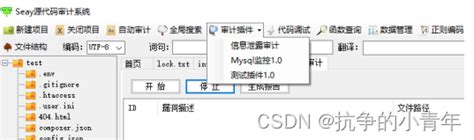 使用Seay进行代码安全审计 CSDN博客