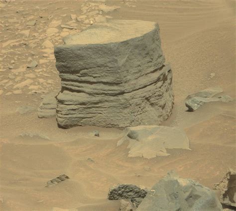 Trees On Mars Pics Yadira Elmore