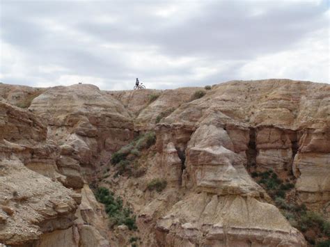 Үлэг гүрвэлийн өлгий Хэрмэн цав